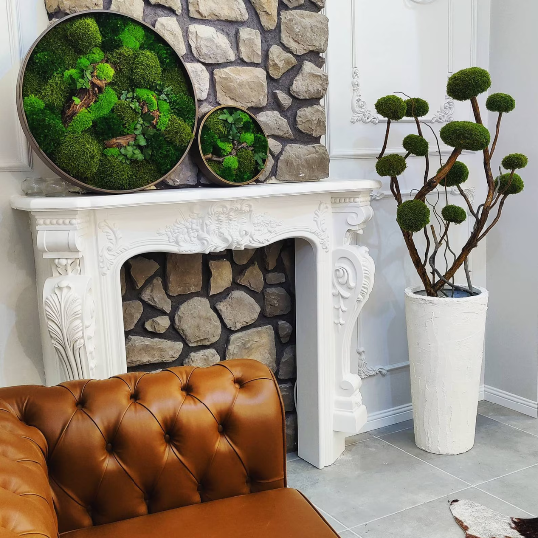 "Eco-Graffiti Reimagined: How Wall Moss Art is Making a Statement"