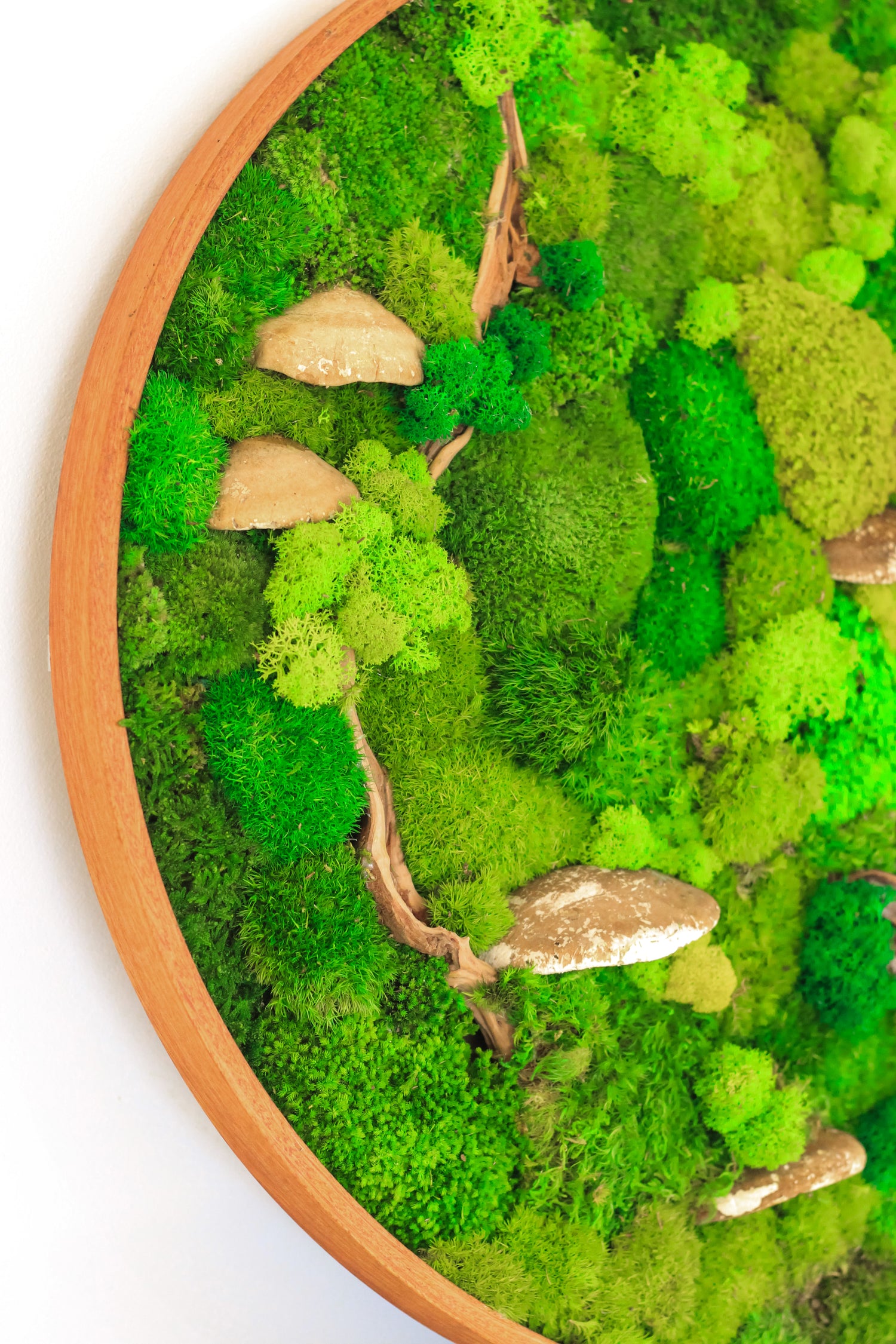 Does Preserved Moss Go Bad? The Truth About Moss Wall Art
