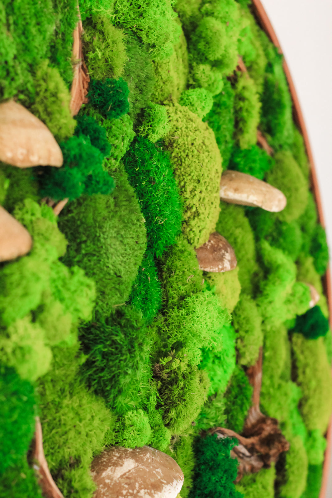 The Art of Crafting Preserved Moss Wall Art